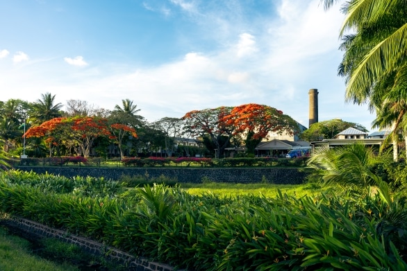 Live the Beau Plan experience - Beau Plan