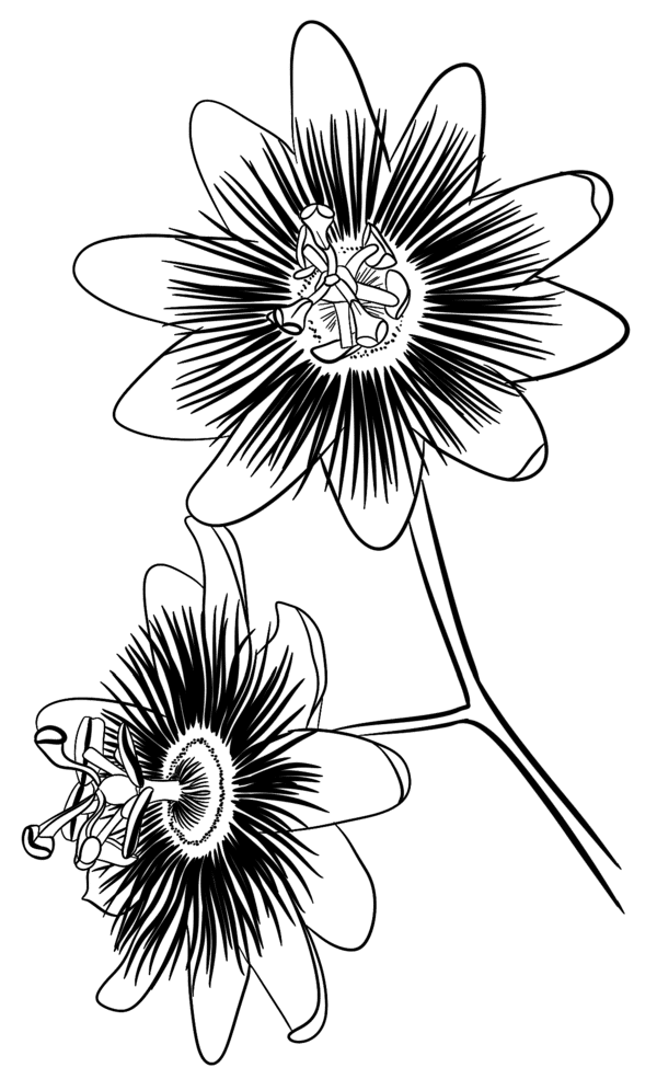 Creative Park: create in the city - Beau Plan