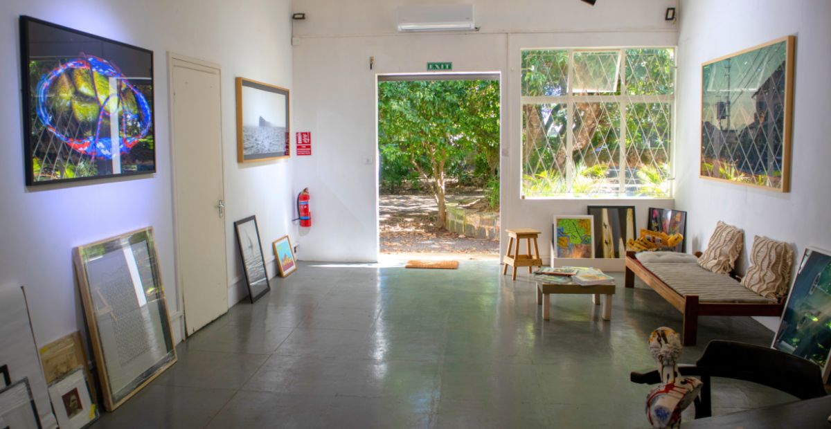 “The Octopus” Has Moved!